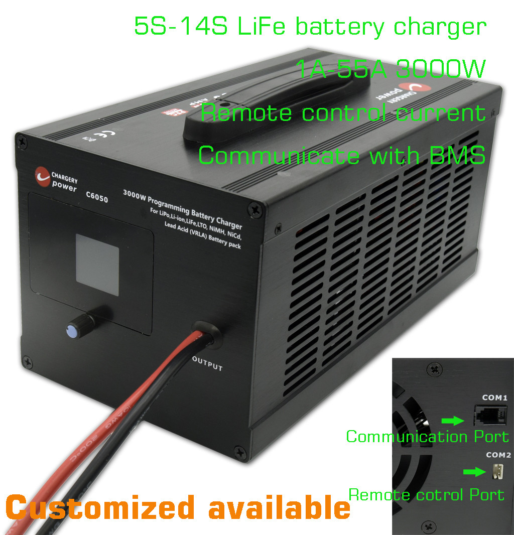 14S LFP Lithium Lifepo4 AC To DC Battery Charger Energy Storage System ...